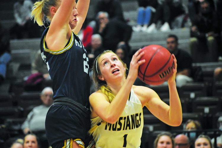 SMSU WOMEN’S BASKETBALL: SMSU closes out weekend with 72-58 victory ...